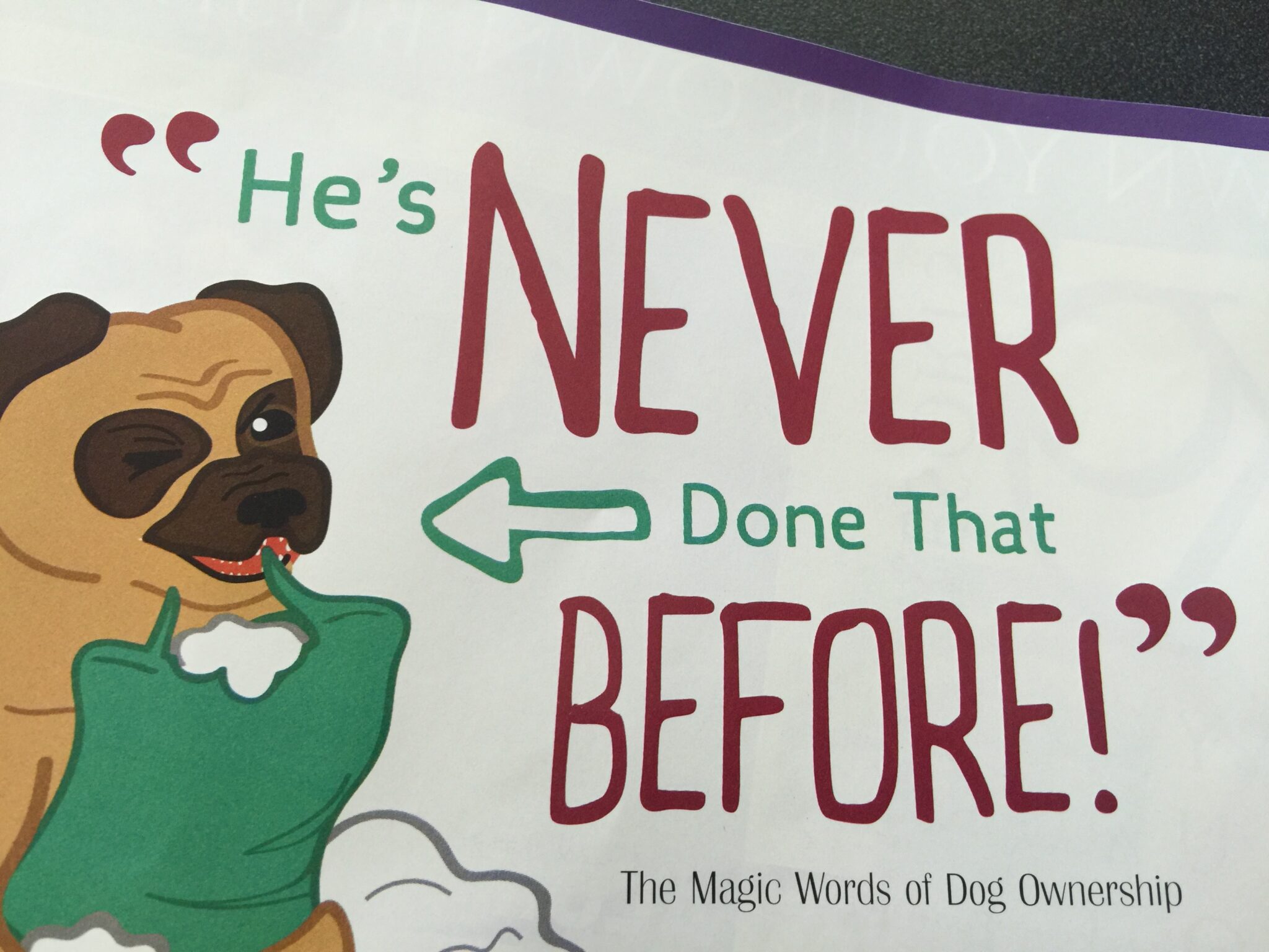 Dog Care Tips & News | Happy Hound Dog Resorts Blog